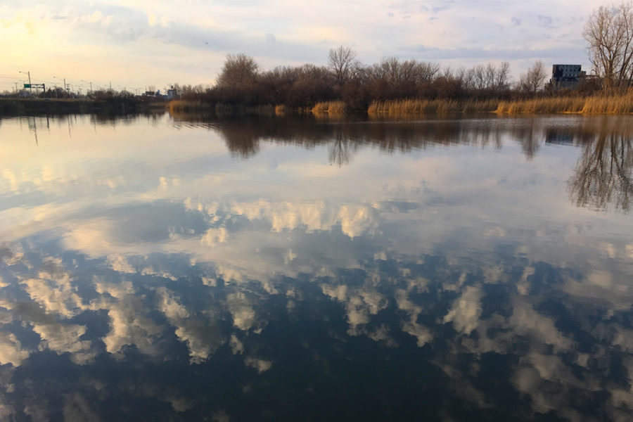 Tifft Nature Preserve - Nature Next Door