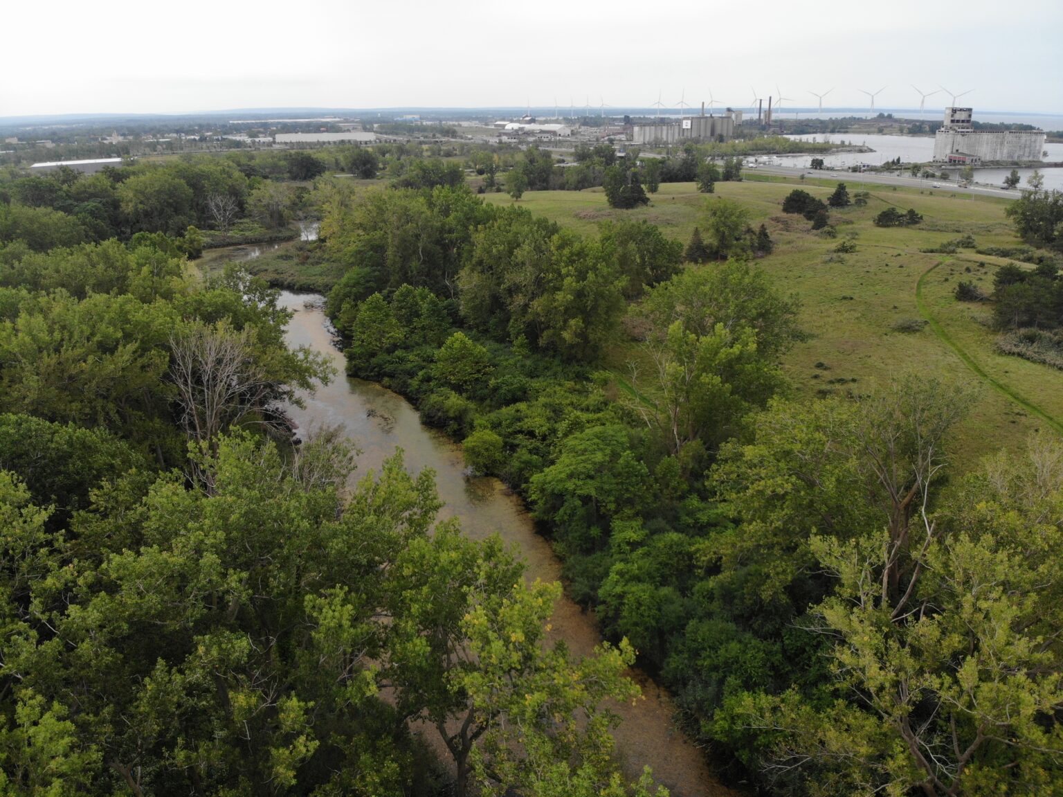 East Canal Ecological Renovation - Tifft Nature Preserve - Nature Next Door
